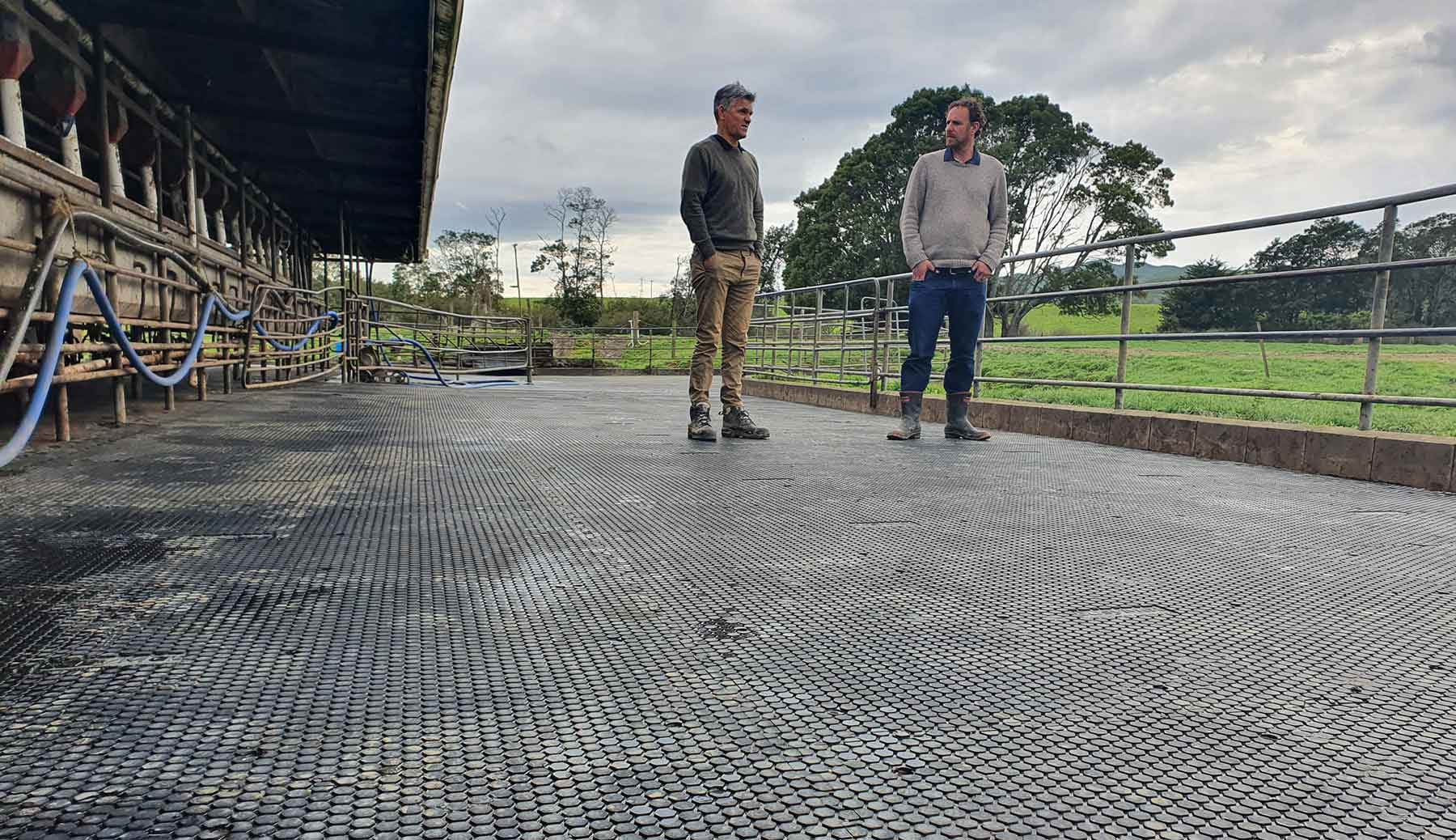 No Lame Cows with the EasyMat Hex Floor Matting - EasyMat